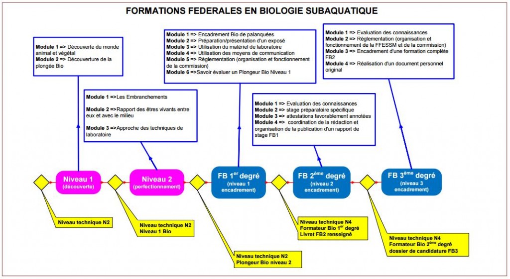 Formation Bio | HGC Reims