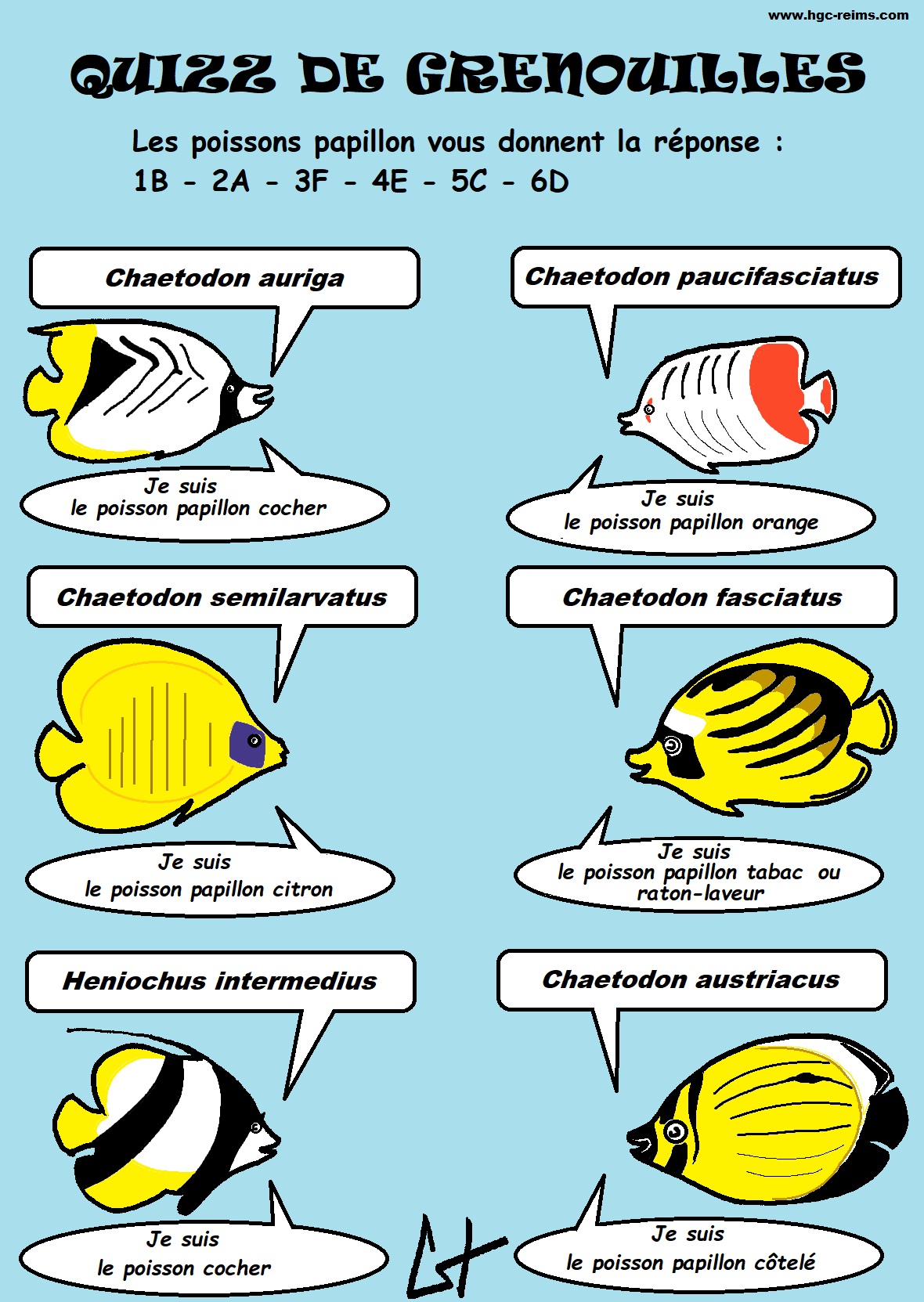Quizz de Grenouilles #1 – Solution | HGC Reims